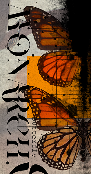 monarch – nikolaidesigns.com